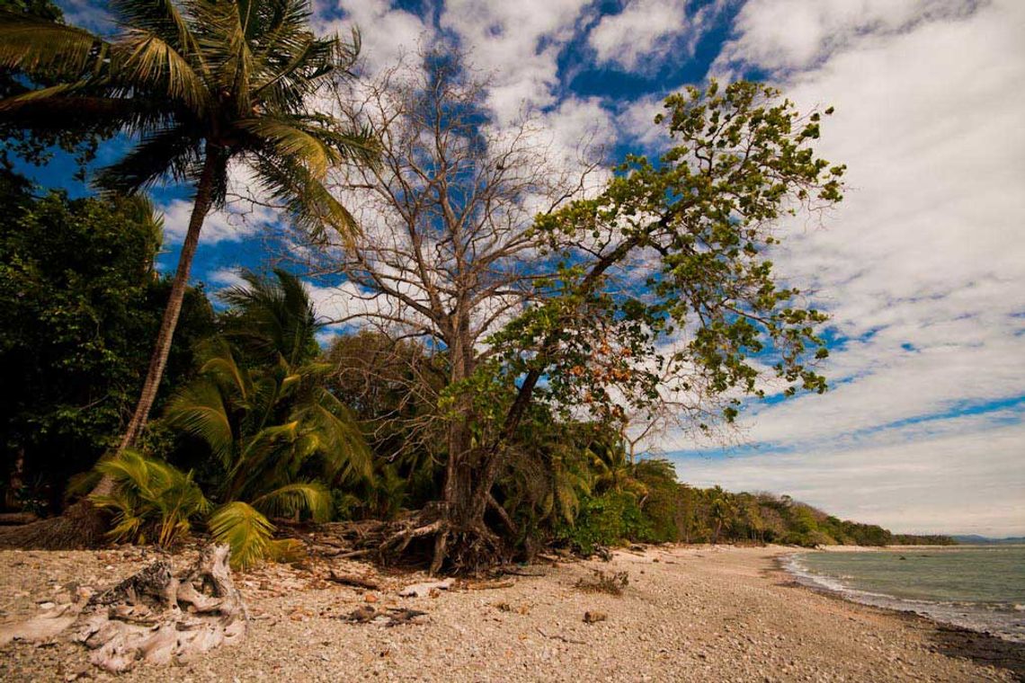 Cabuya Beach
